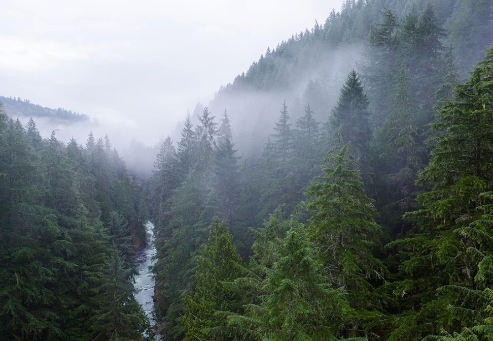 Waste management and material recovery in Marion County, OR